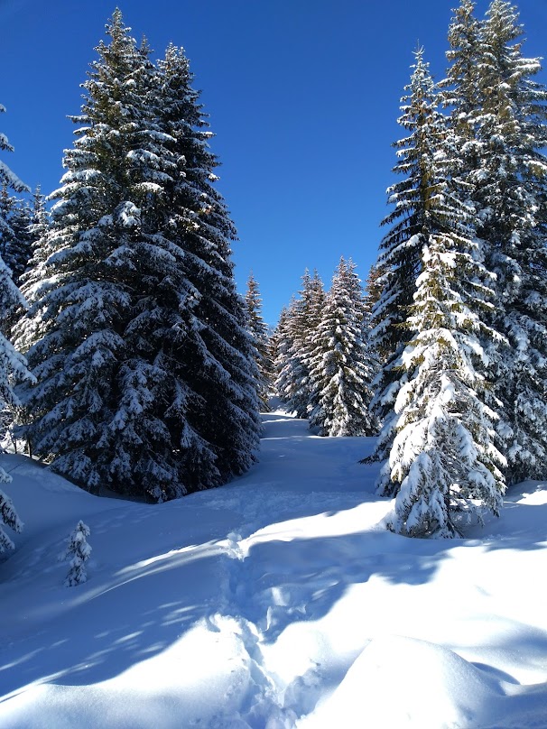 Nos stations partenaires - Aslie